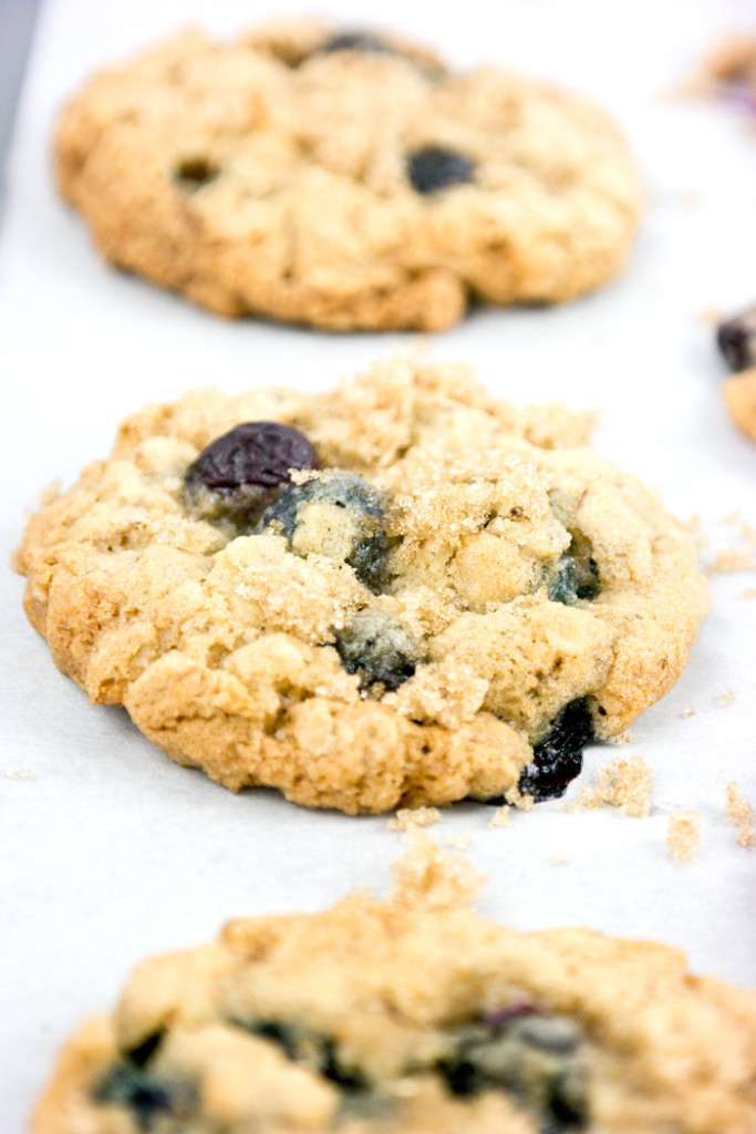 Fresh Blueberry Oatmeal Cookies - The Sugar Coated Cottage