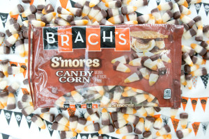 Gimme S'More Mummy Marshmallows - The Sugar Coated Cottage